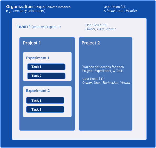 What is SciNote’s Structure?